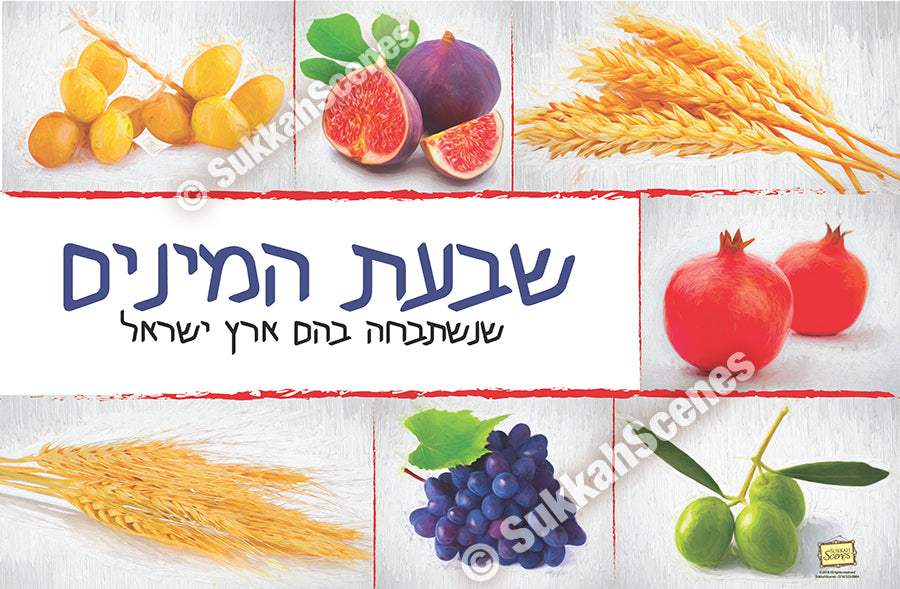 Shivas Haminim – SukkahScenes