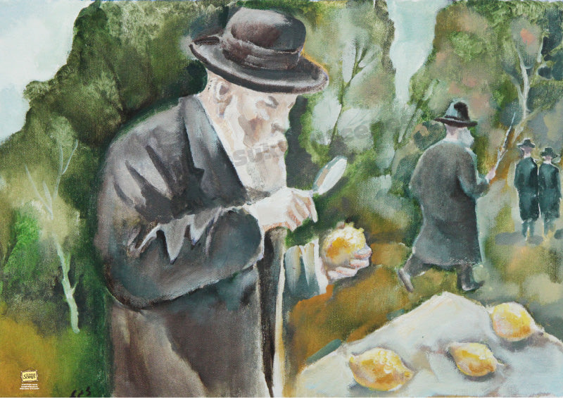 The Perfect Esrog – SukkahScenes